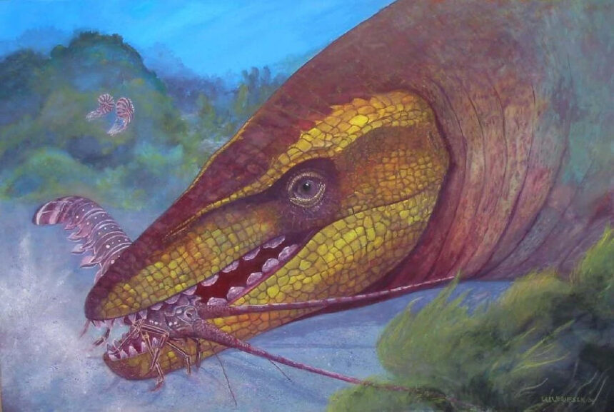 carinodens belgicus teeth | FossilPaleo